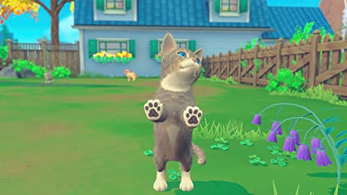 My Universe: Pets Edition (NSW)