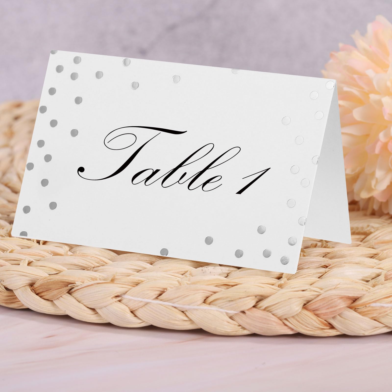 MECCANIXITY 40pcs Place Cards, Line Border Printable Place Name Cards for Table Setting Wedding Dinner Parties Events Reserved Seating, White Silver Dots