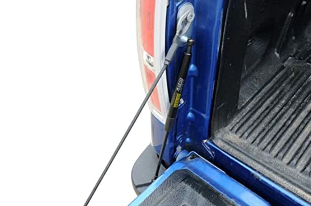Dee Zee DZ43204 Tailgate Assist fits 2015-Current Ford F150, Multicolor