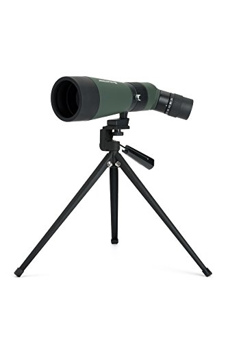 Celestron – LandScout 60mm Angled Spotting Scope – Fully Coated Optics – 12–36x Zoom Eyepiece – Rubber Armored – Tabletop Tripod