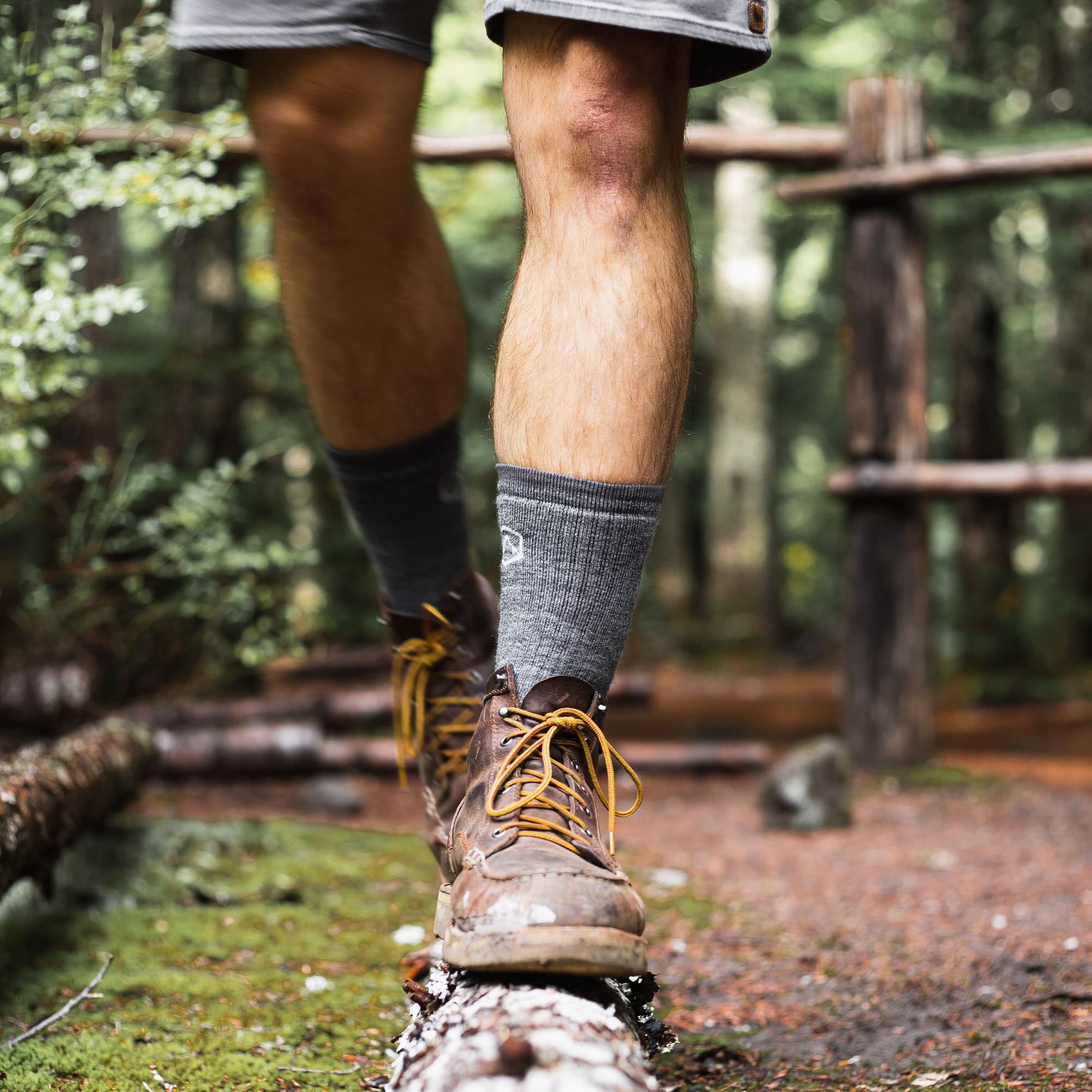 CloudLine Men’s and Women’s Merino Wool Hiking Socks - Light Cushion, Warm, Soft, Moisture Wicking, Made in USA - Granite, Size X-Large, 3 Pairs