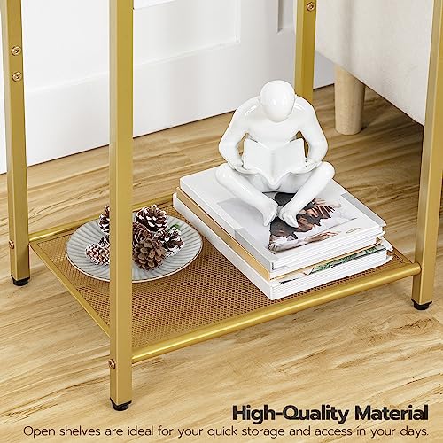 HOOBRO End Table, Side Table with Charging Station, 2-Tier Nightstand with Storage Shelves, Small Space Bedside Table, Telephone Table, Modern Coffee Table, Tempered Glass, Living Room, Gold GD56UBZ01