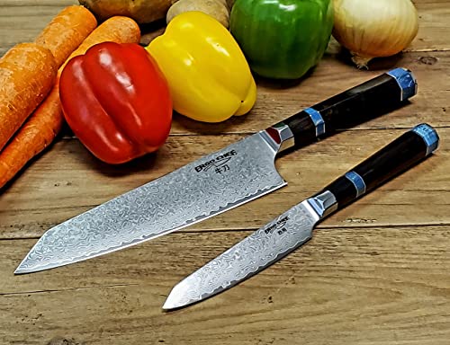 Ergo Chef Limited Series 2pc. Damascus Japanese VG10 8-inch Kiritsuke Knife and 5 inch Utility knife Set, Ebony and Blue Stabilized Wood Handles Includes Wooden Gift/Storage Box