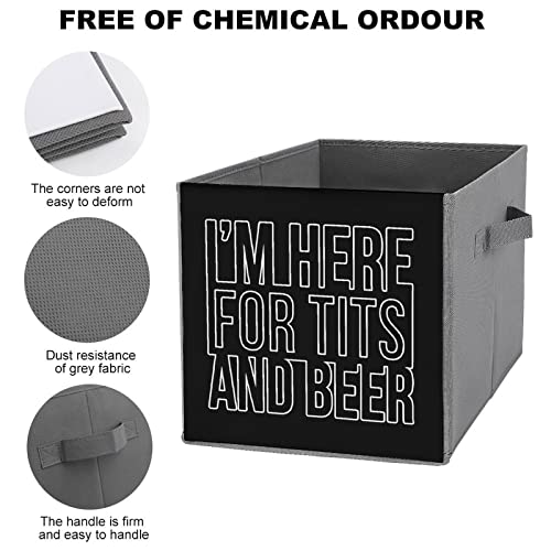 I'm Here for Tits and Beer Foldable Storage Bins Printd Fabric Cube Baskets Boxes with Handles for Clothes Toys, 11x11x11