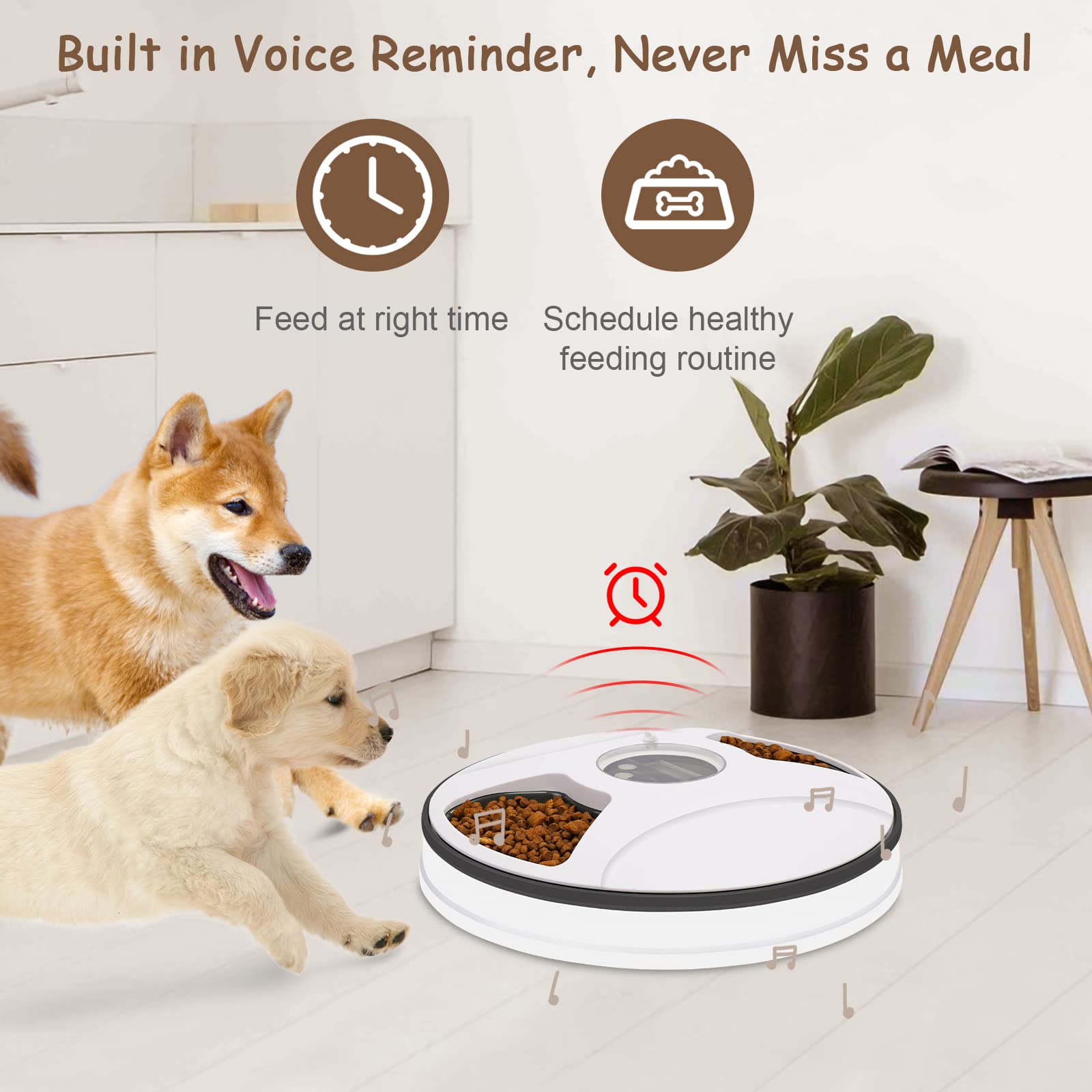 Chintu Automatic Cat Food Dispenser, 3 Meals Portion, Plastic, for 2 Cats, with Voice Reminder