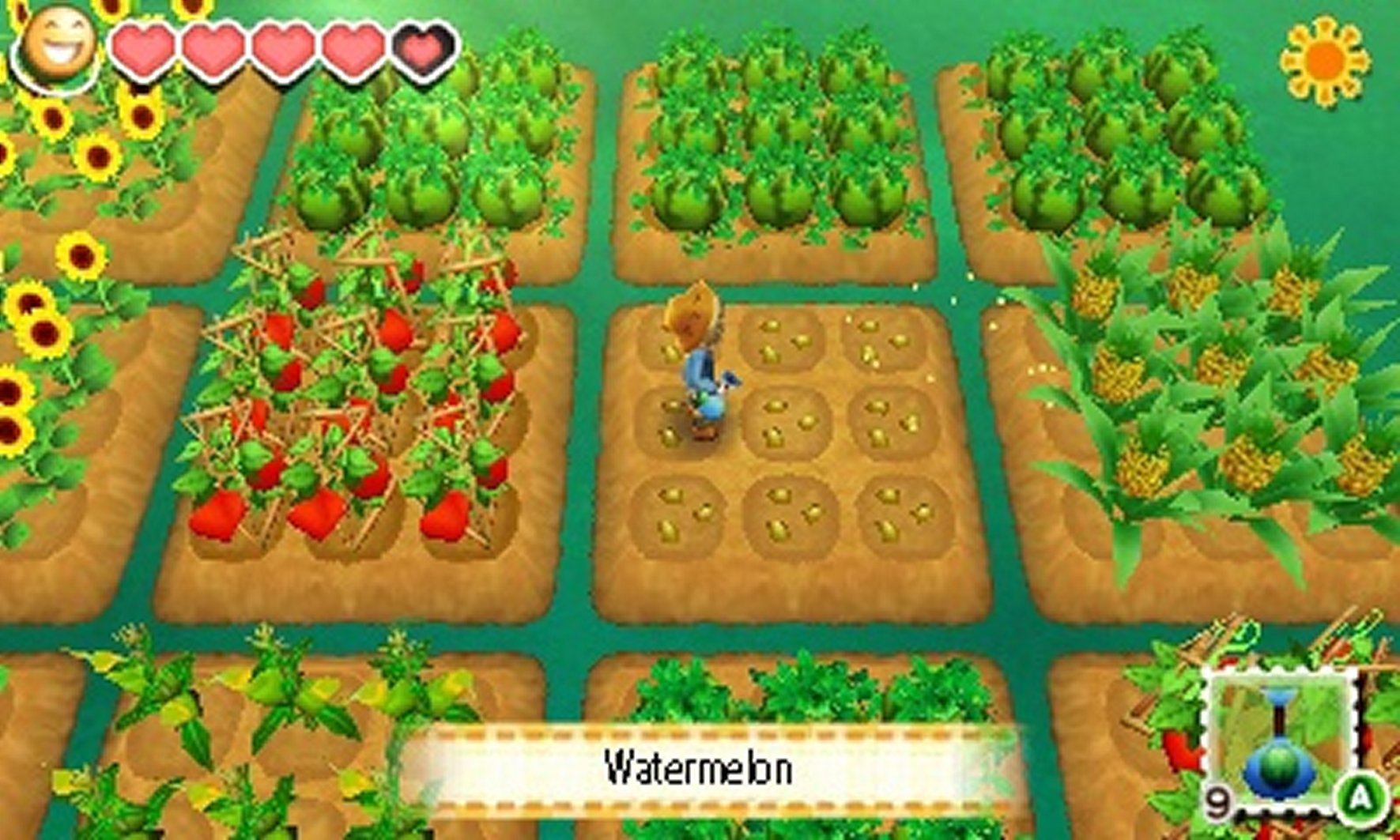 Story of Seasons (Nintendo 3DS)