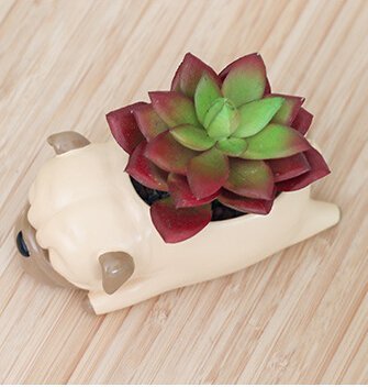 Succulent Pots,Cute Animal Pug Dog Shaped Air Plant Holder Flower Planters-Plants Not in Included