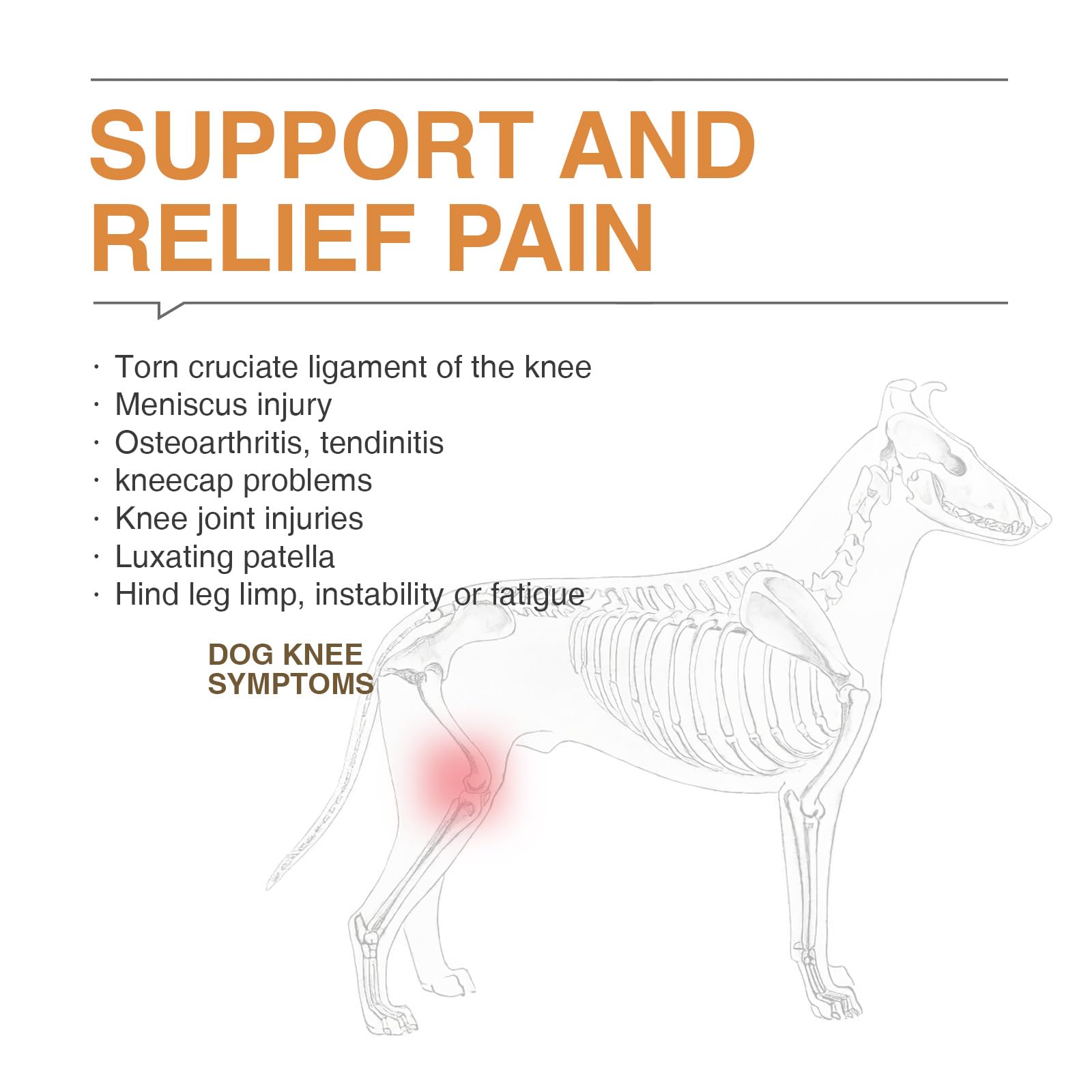 LISPOO Dog Acl Knee Brace for Torn Acl Leg,Luxating Patella,Dog Knee Braces for Back Leg Warm Joint and Relieves Joint Pain,Better Recovery with Dog Acl Knee Brace(L)