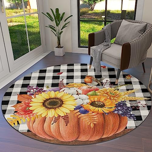 Pumpkin Plaid Large Area Rugs Carpet 3 Feet for Bedroom Living Room,Accent Throw Kitchen Hallway Bathroom Runner Rug Low Pile Entryway Door Mat Floor Doormat,Thanksgiving Fall Farmhouse Bird Sunflower