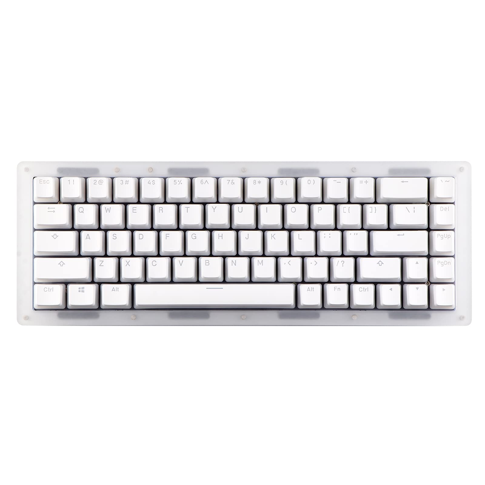 EPOMAKER TK68 65% Gasket Acrylic Hot Swappable 2.4Ghz/Bluetooth 5.0/USB-C Wired Wireless Gaming Keyboard with RGB Backlight, Translucent Pudding Keycaps for Office/Home/Win/Mac(Budgerigar Switch)