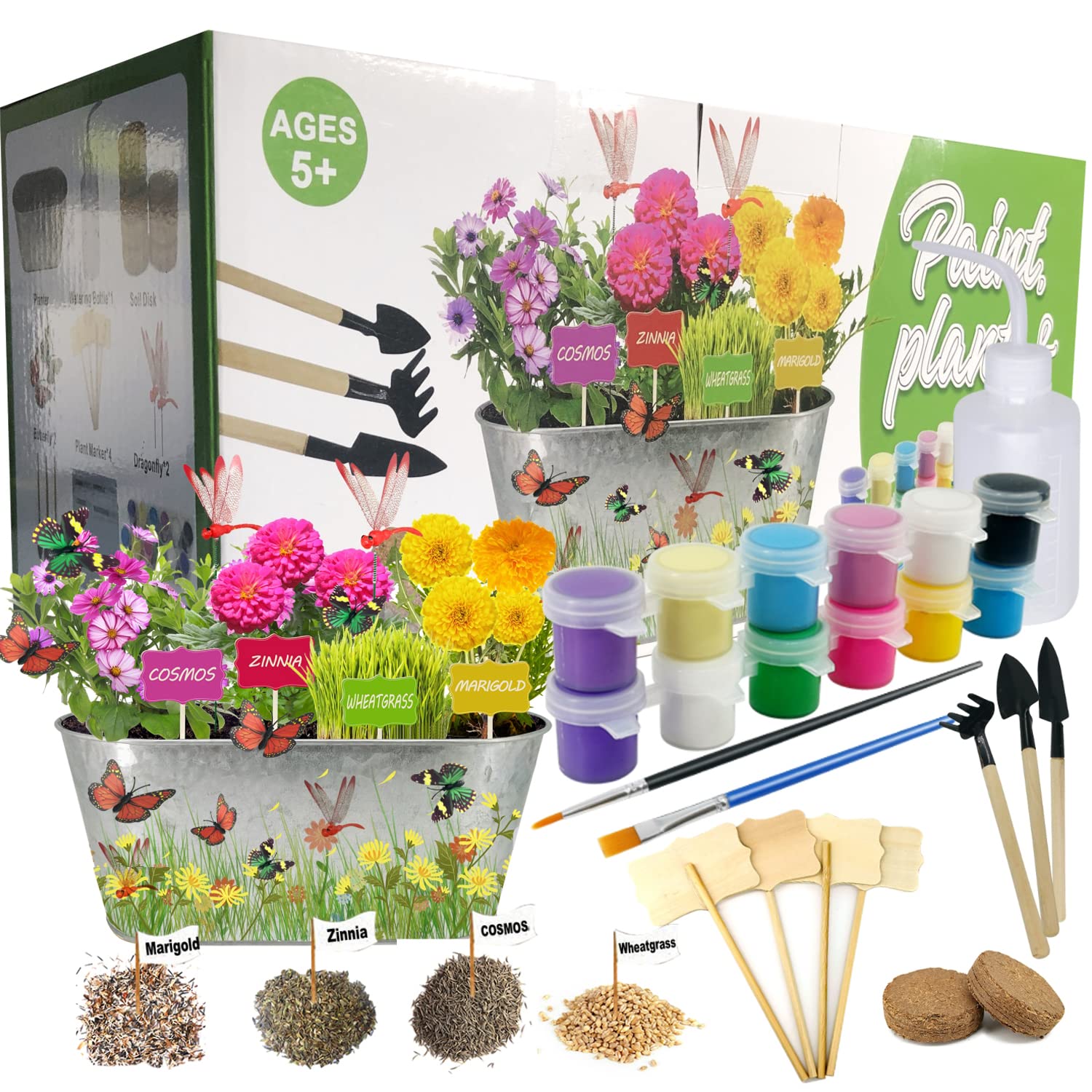 Wenzhuo Paint & Plant Flower Growing Kits-Planter,Soil-Kids Gardeing kit Toysļ¼DIY STEM Arts & Crafts Project Activity,Unique Science and Garden Gift for Girls & Boys Age 5 6 7 8-12