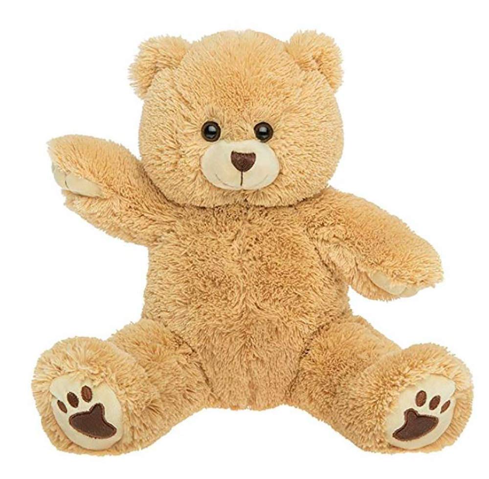 Record Your Own Plush 8 Inch Stuffed Brown Bear - Ready 2 Love in a Few Easy Steps
