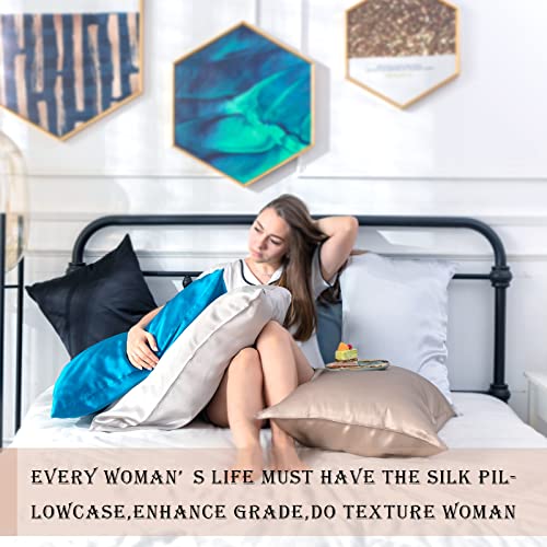 Natural Mulberry Silk Pillowcase for Hair and Skin Standard Size 20"X 26" Case with Hidden Zipper Soft Breathable Smooth Cooling Silk Pillow Covers for Sleeping(Pink,1Pcs)