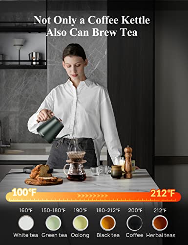 KLEAH Electric Kettle Gooseneck with Temperature Control Stainless Steel Automatic Shut Off Coffee Kettle Hot Water Boiler Pour Over Tea Kettle 1200 Watt Quick Heating Keep Warm, 0.8L for Gift