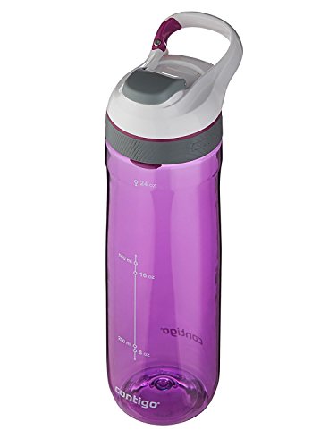 Contigo AUTOSEAL Cortland Water Bottle, 24 oz, Radiant Orchid
