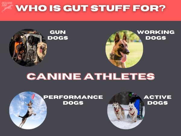 Gut Stuff by Helluva Dog β Digestive Aid Meal Topper for Active Sporting Dogs β Pumpkin & Slippery Elm for Dog's Upset Stomach & Better Gut Health, Packed with Fiber - 3oz