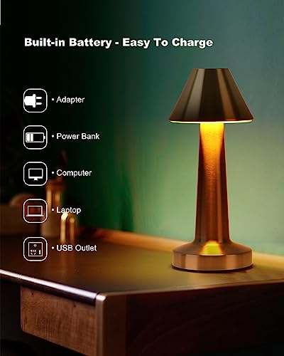Cluelyhoo Cordless Table Lamps,Rechargeable Battery Operated Led Desk Lamp,3-Level Brightness Portable Table Lamp,for Bedroom/Couple Dinner/Desk/Cafe/Dining Room/Terrace(Gold)