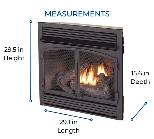 Duluth Forge Dual Fuel Ventless Gas Fireplace Insert, Thermostat Control, 6 Fire Logs, Use with Natural Gas or Liquid Propane, 32000 BTU, Heats up to 1500 Sq. Ft., Black