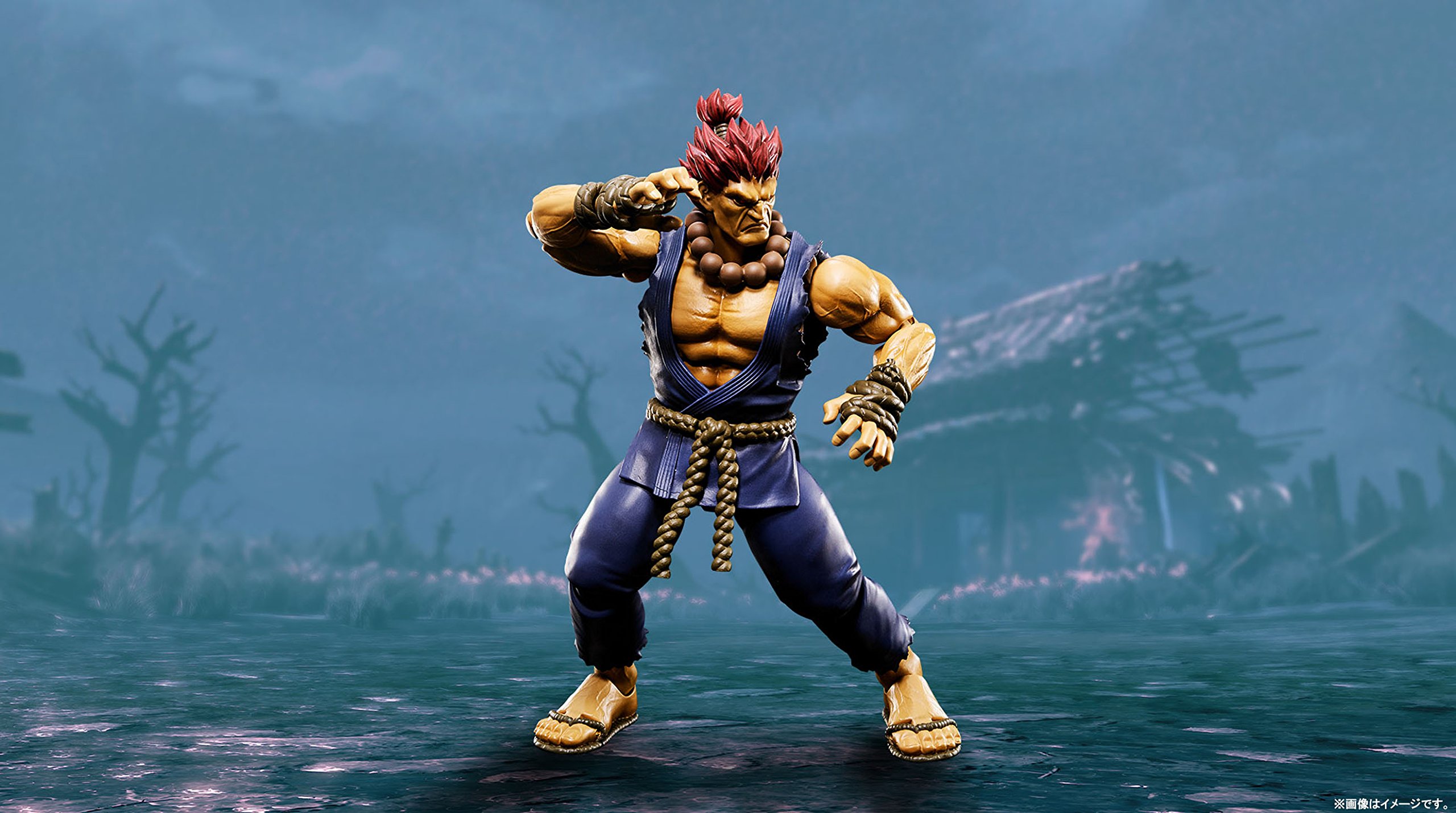 TAMASHII NATIONS Bandai S.H. Figuarts Akuma Street Fighter Action Figure