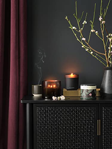 Illume Beautifully Done Essentials BlackBerry Absinthe Vanity Tin Scented Candle