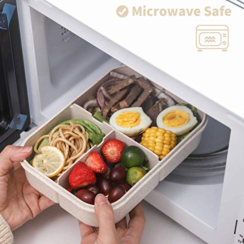 MISS BIG Bento Box, Bento Box for Kids,Ideal Leak Proof Lunch Box Kids,Mom’s Choice Kids Lunch Box, No BPAs and No Chemical Dyes,Microwave and Dishwasher Safe Lunch Containers(White)