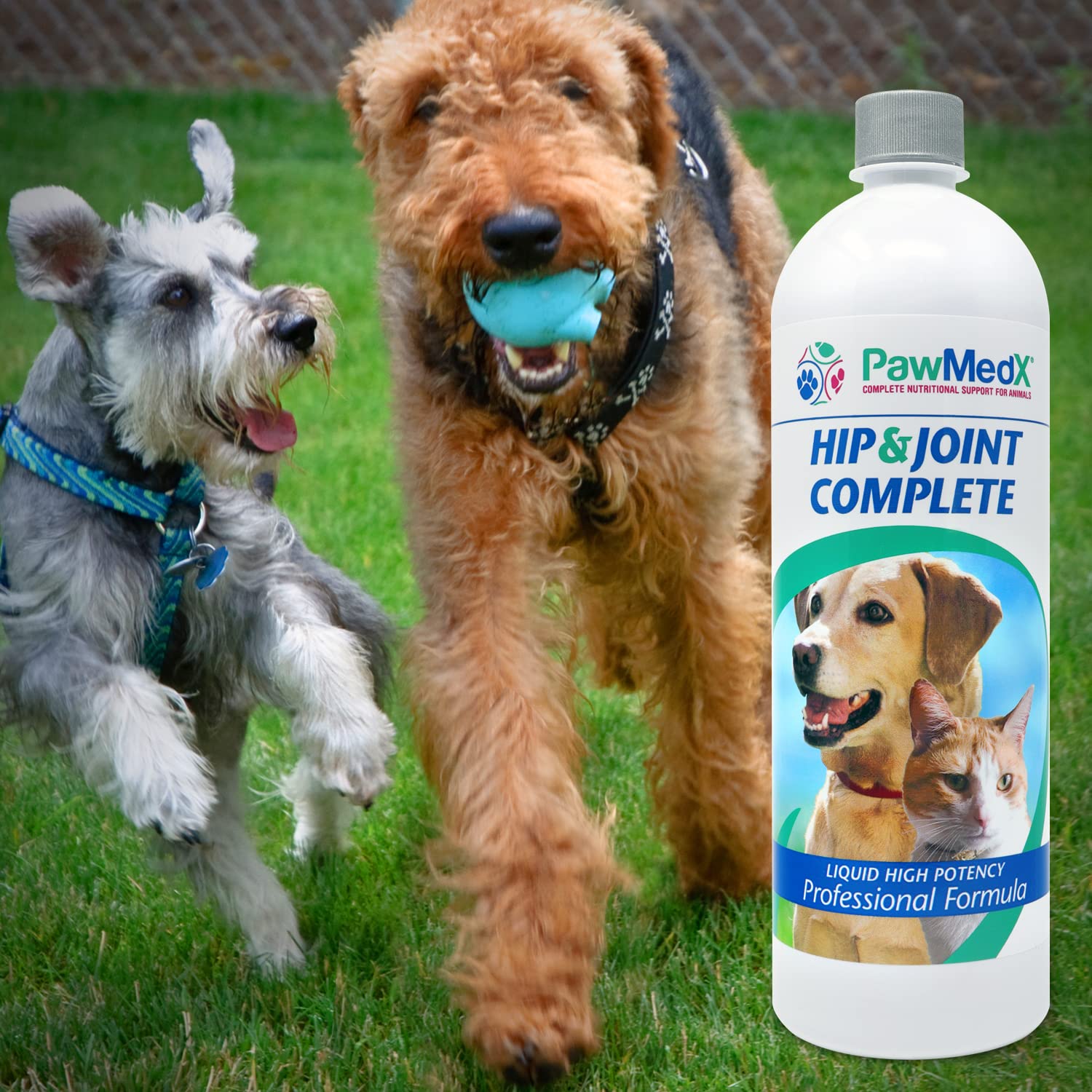 Liquid Glucosamine for All Dogs by Eniva | Hip, Joint, Bones & Teeth, Professional Extra Strength Liquid, Glucosamine, Chondroitin, MSM, Collagen, VIT C, Calcium, Antioxidants | USA Made– 32oz