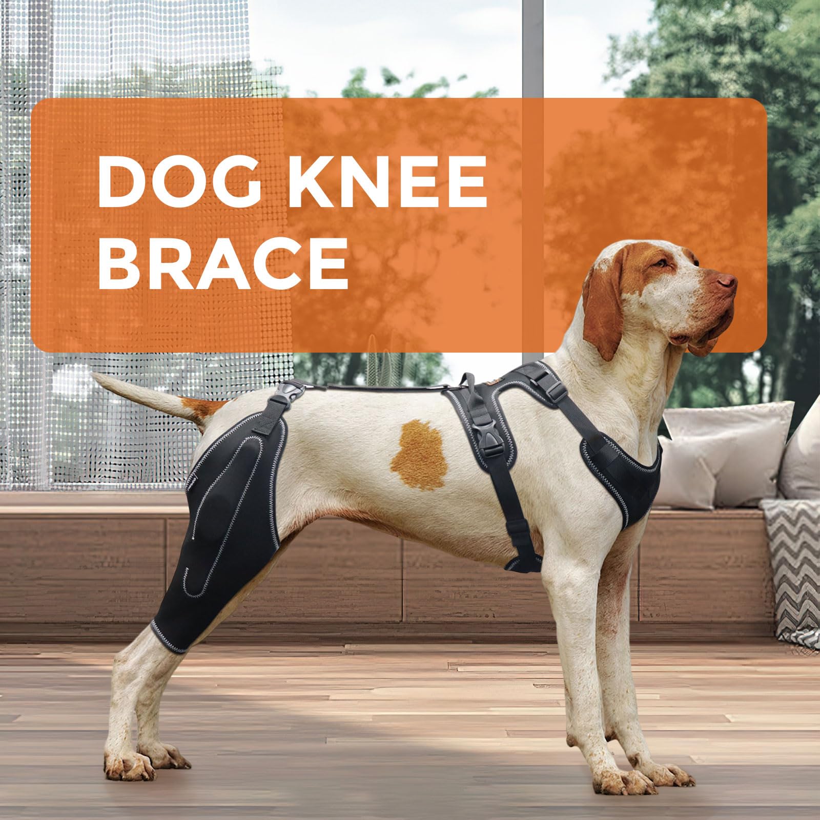 LISPOO Dog Acl Knee Brace for Torn Acl Leg,Luxating Patella,Dog Knee Braces for Back Leg Warm Joint and Relieves Joint Pain,Better Recovery with Dog Acl Knee Brace(L)