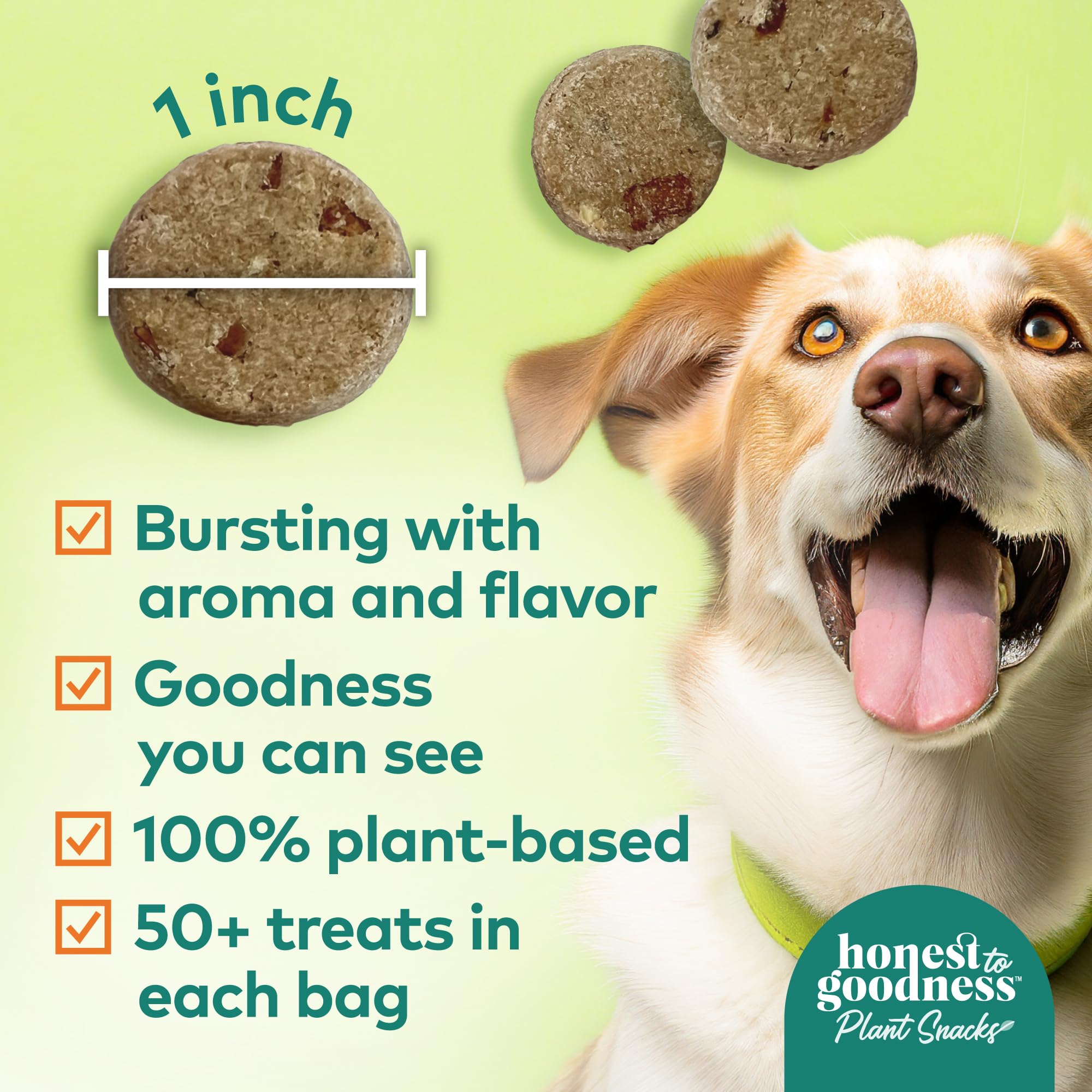 Honest to Goodness Plant Snacks Mellow Belly Pumpkin & Cinnamon Recipe Dog Treats, Enriched with Omega 3s & Postbiotics, 8oz