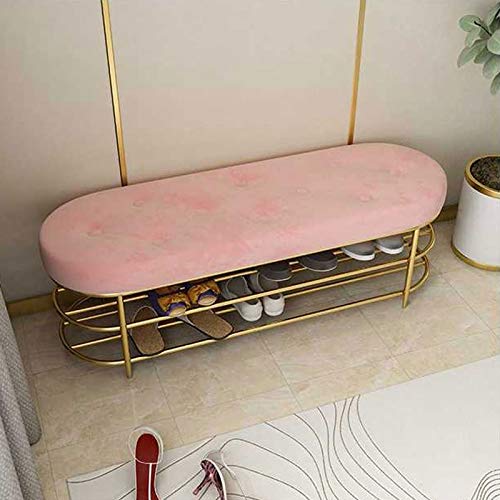 LDCHNH Shoe Stool with 2 Layers Shoe Rack Shelf Sofa Cushion Entrance Door Shoe Cabinet Shoe Stool Storage Stool (Color : D)