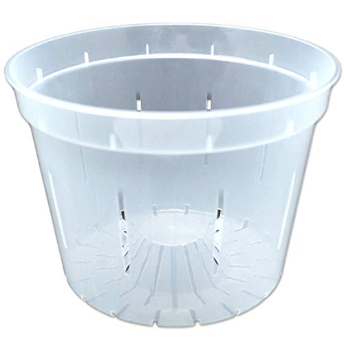 rePotme Orchid Pot -10 inch Slotted Clear Plant Pots - 3 Pack (Crystal Clear)