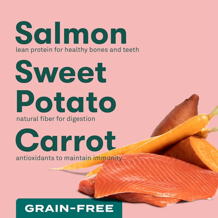 Jinx Salmon, Sweet Potato, Carrot & ALS Kibble Dry Dog Food, 11.5 lbs.