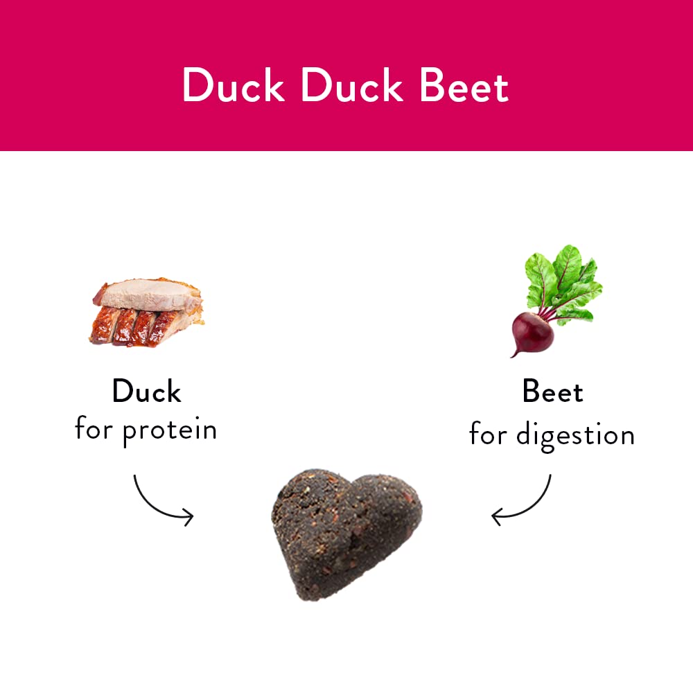 SHAMELESS PETS Soft Dog Treats - Natural, Healthy Dog Treats Made with Upcycled Ingredients & Zero Artificial Flavors, Grain Free Dog Biscuits, Supports Digestion - Duck Duck Beet, Pack of 2
