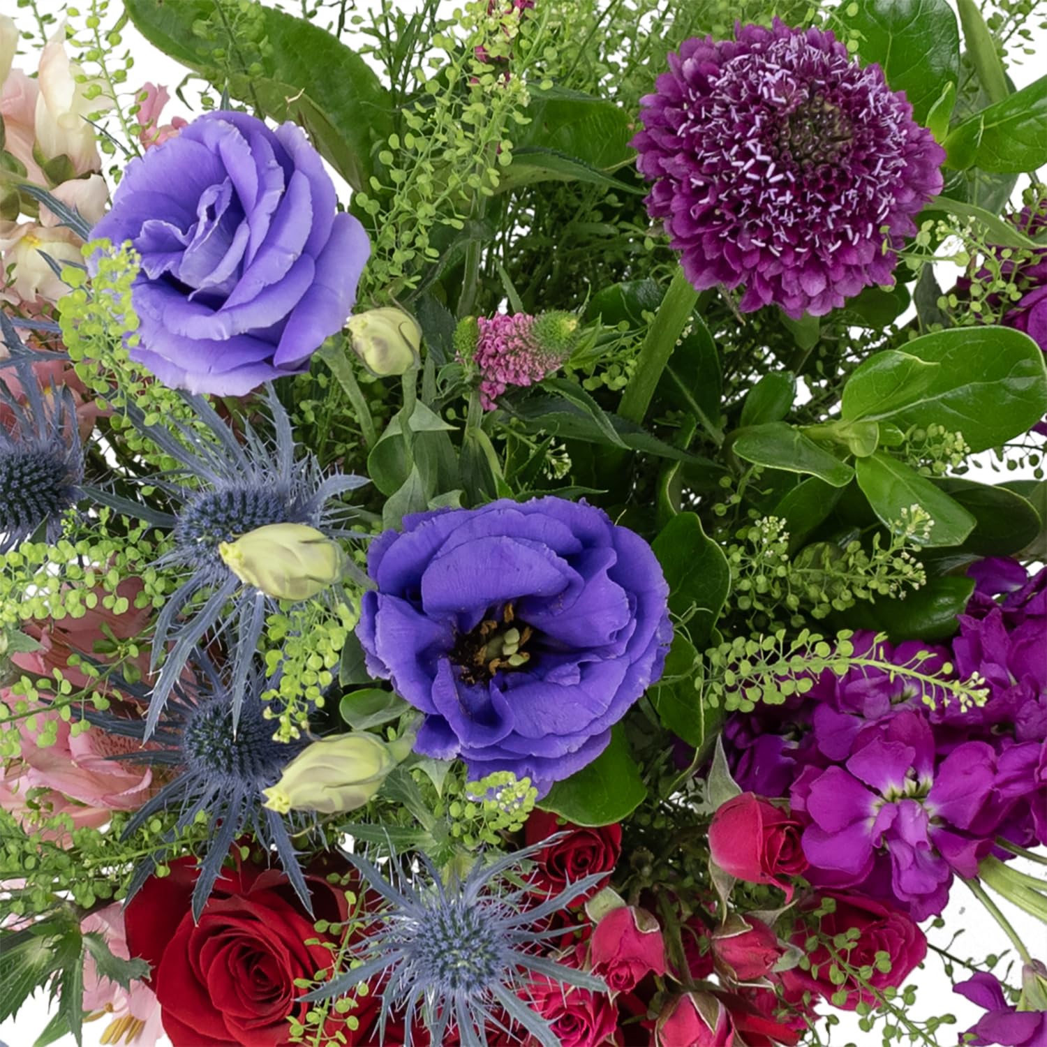 Country Living Floral Collection Premium Red and Pink Rose Mixed Fresh Flowers Delivery, Extra Large Bouquet