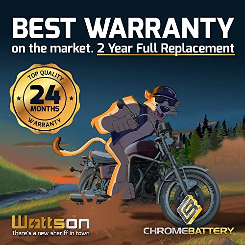 Pirate Battery YTX5L-BS Maintenance Free Replacement Battery for ATV, Motorcycle, and Scooter: 12 Volts, 5 Amps, 4Ah, Nut and Bolt (T3) Terminal