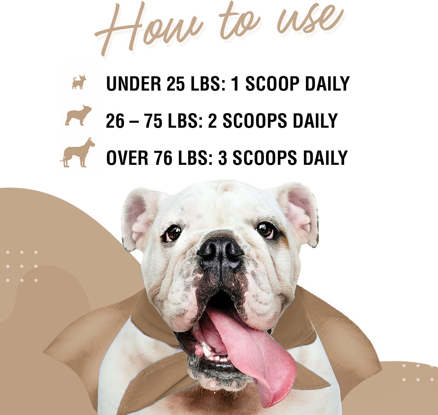 Grass-Fed Colostrum Powder Plus Mushroom Complex Powder - for Dog’s Immune Health, Skin and Allergy Relief and Vitality – Colostrum 90 Scoops - Mushroom Complex 90 Scoops