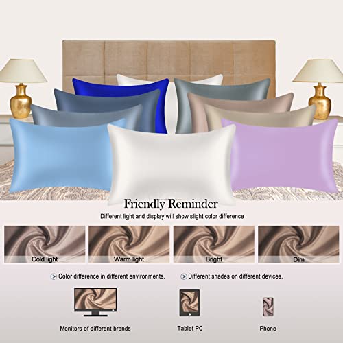 LONGPHEI Silk Satin Pillowcase Cooling Pillow Cases for Hair and Skin Taupe with Eye Mask 2pcs (Taupe, Standard)