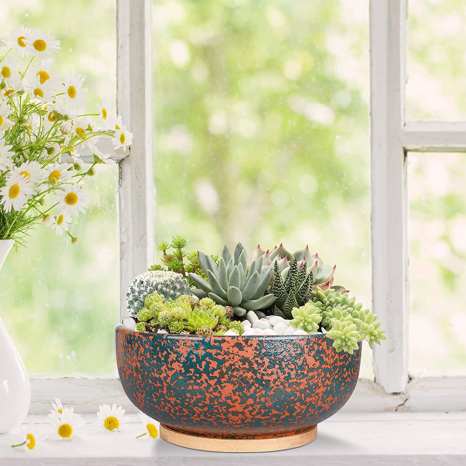 Fivepot 10+8 Inch Ceramic Succulent Planter Pots with Drainage Hole Clay Flower Pot for Indoor Plants Round Shallow Bonsai Pot with Bamboo Tray White