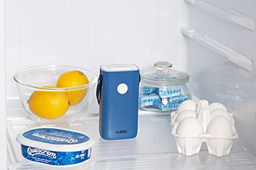 Multipurpose Deodorizer │Air Ionizer with Negative Ion to Remove Odors in Refrigerator, Shoe Closet, Bathroom, Wardrobe, Car, and Pet Litters │ Portable Air Purifier and Cleaner (Blue)