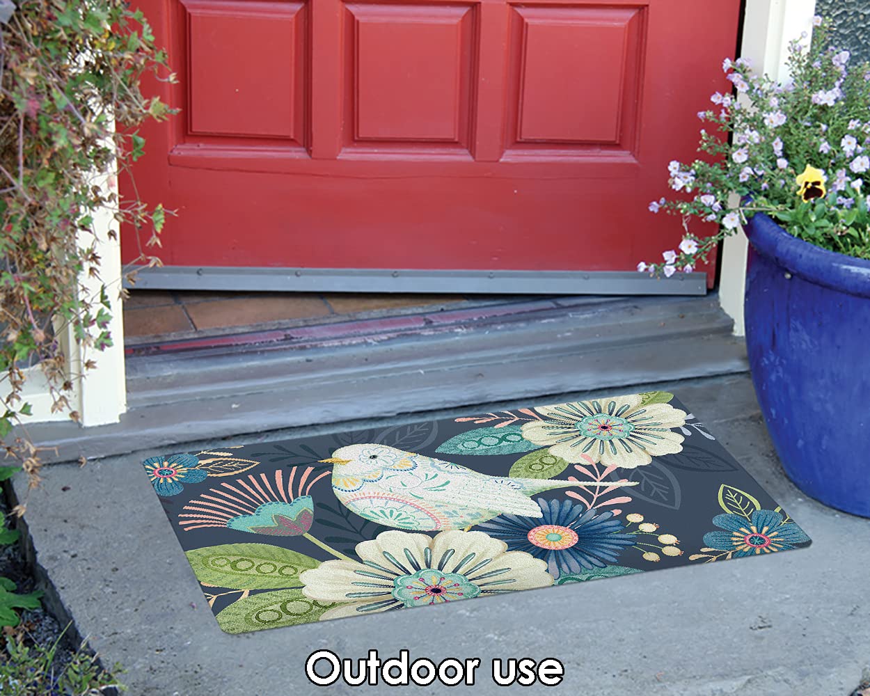 Toland Home Garden 800516 Boho Bird Spring Door Mat 18x30 Inch Bird Outdoor Doormat for Entryway Indoor Entrance
