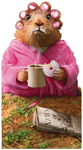Morning Ground Hog Avanti Oversized Funny Birthday Card