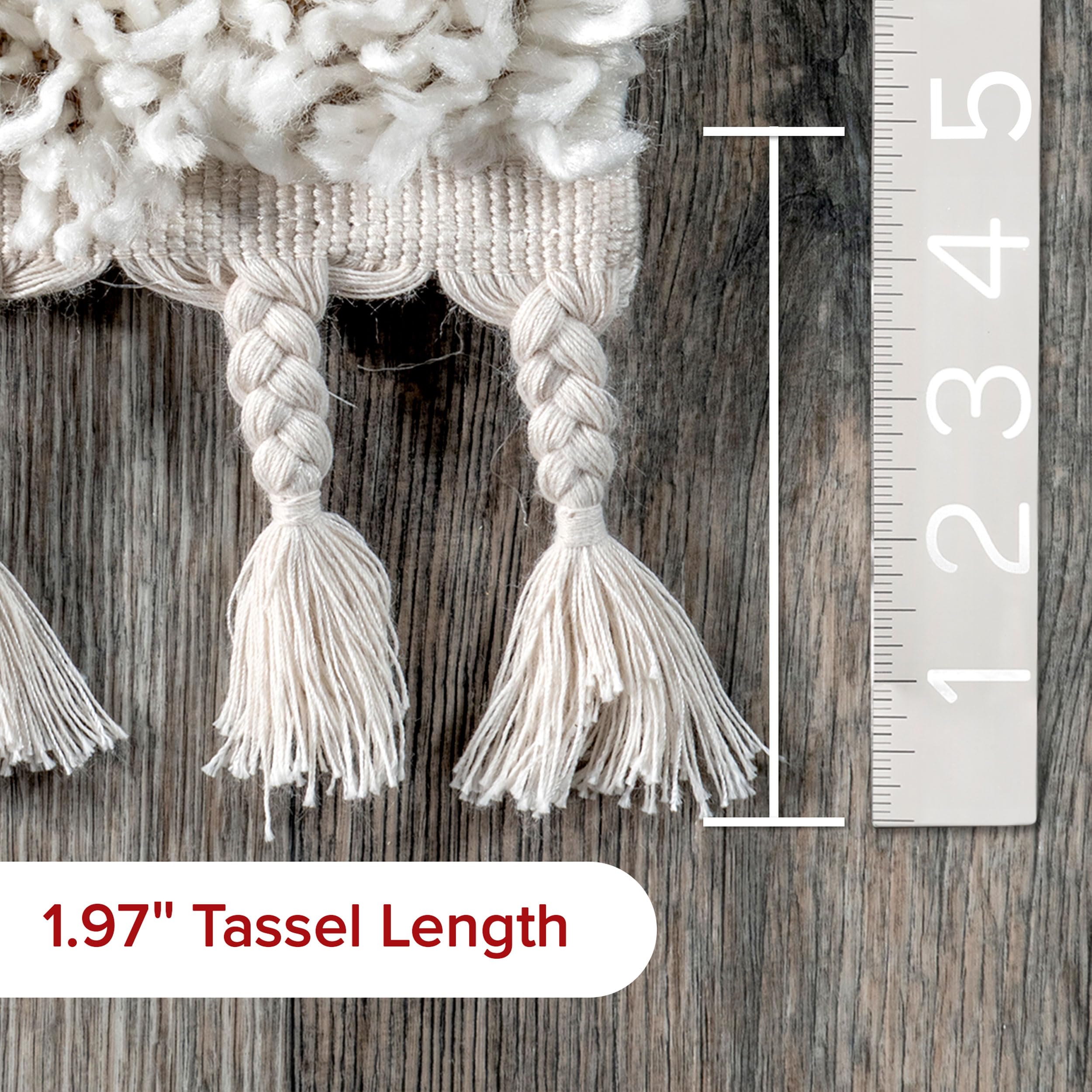 nuLOOM Neva Modern Tasseled Shag Area Rug, 3x5, Ivory