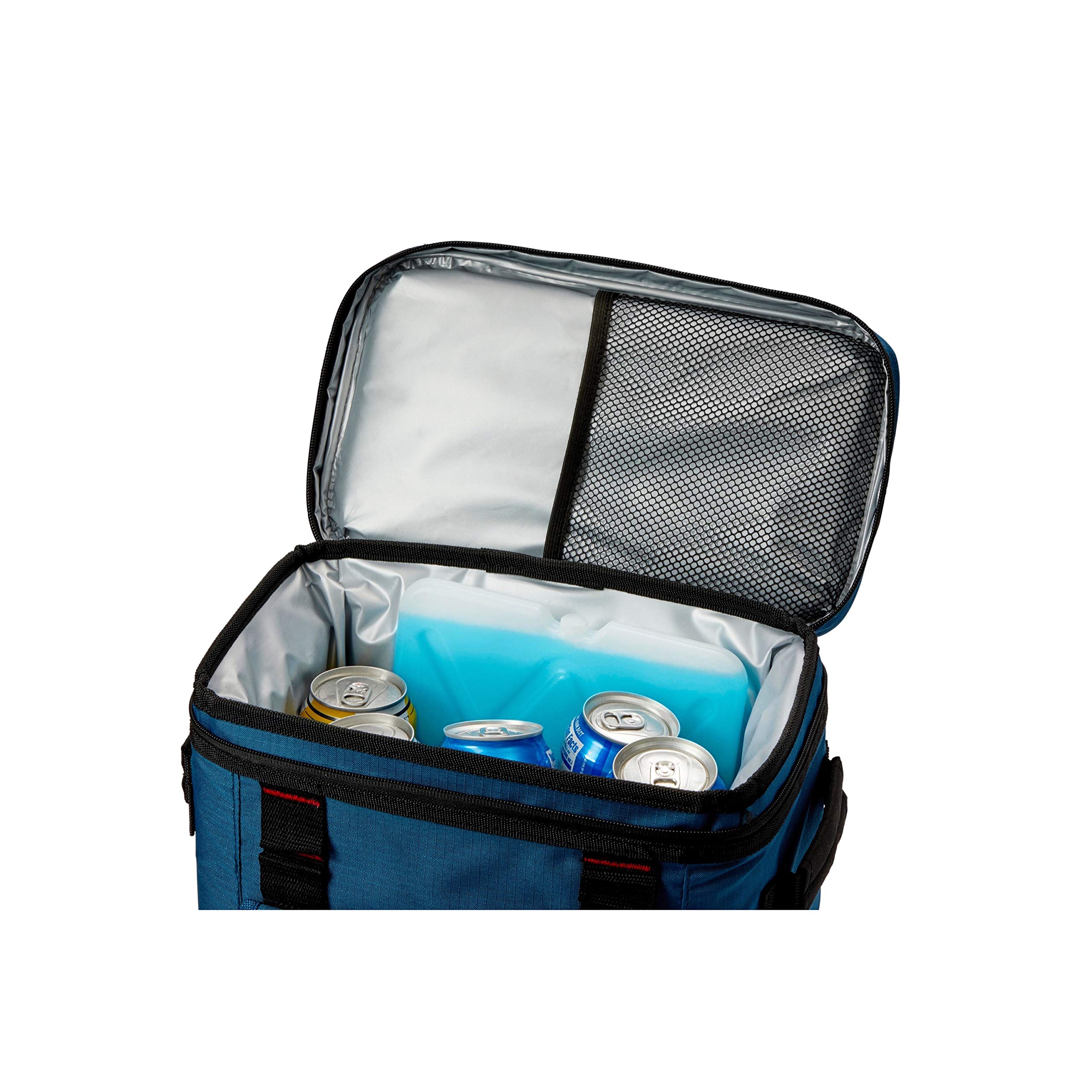 Coleman X-treme Chill Reusable Ice Packs, Slim Ice Packs for Coolers & Lunch Bags, Leak-Proof Ice Brick Freezer Pack for School, Work, Lunches, Trips & Injuries