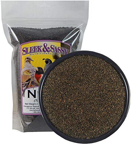 Niger (Nyjer) Thistle Bird Seed (2 lbs.)