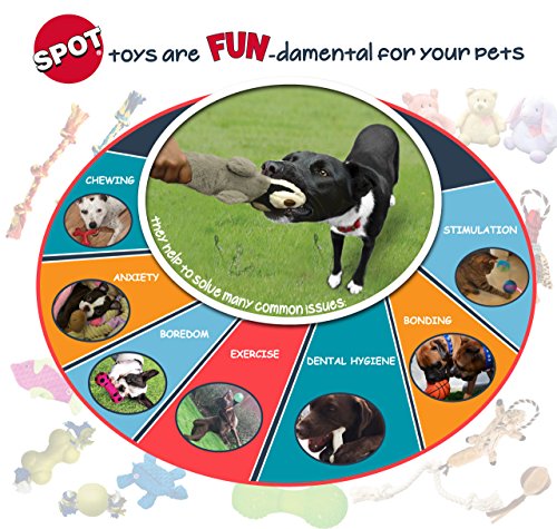 SPOT Ethical Pet Interactive Seek-A-Treat Shuffle Bone Toy Puzzle That Will Improve Your Dog's IQ, Specially Designed for Training Treats
