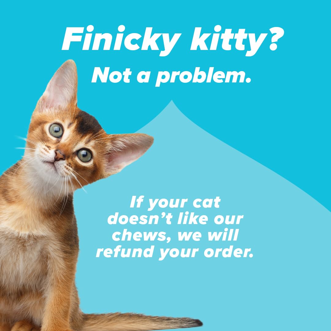 Okoa Pet “Chill, Kitty Kitty” Hemp Calming Supplement for Cats - Cat Anxiety Support Soft Chews for Reduced Stress, Thunder, Travel, & Separation - Salmon Flavor Hemp Treats - Vet Formulated, USA Made