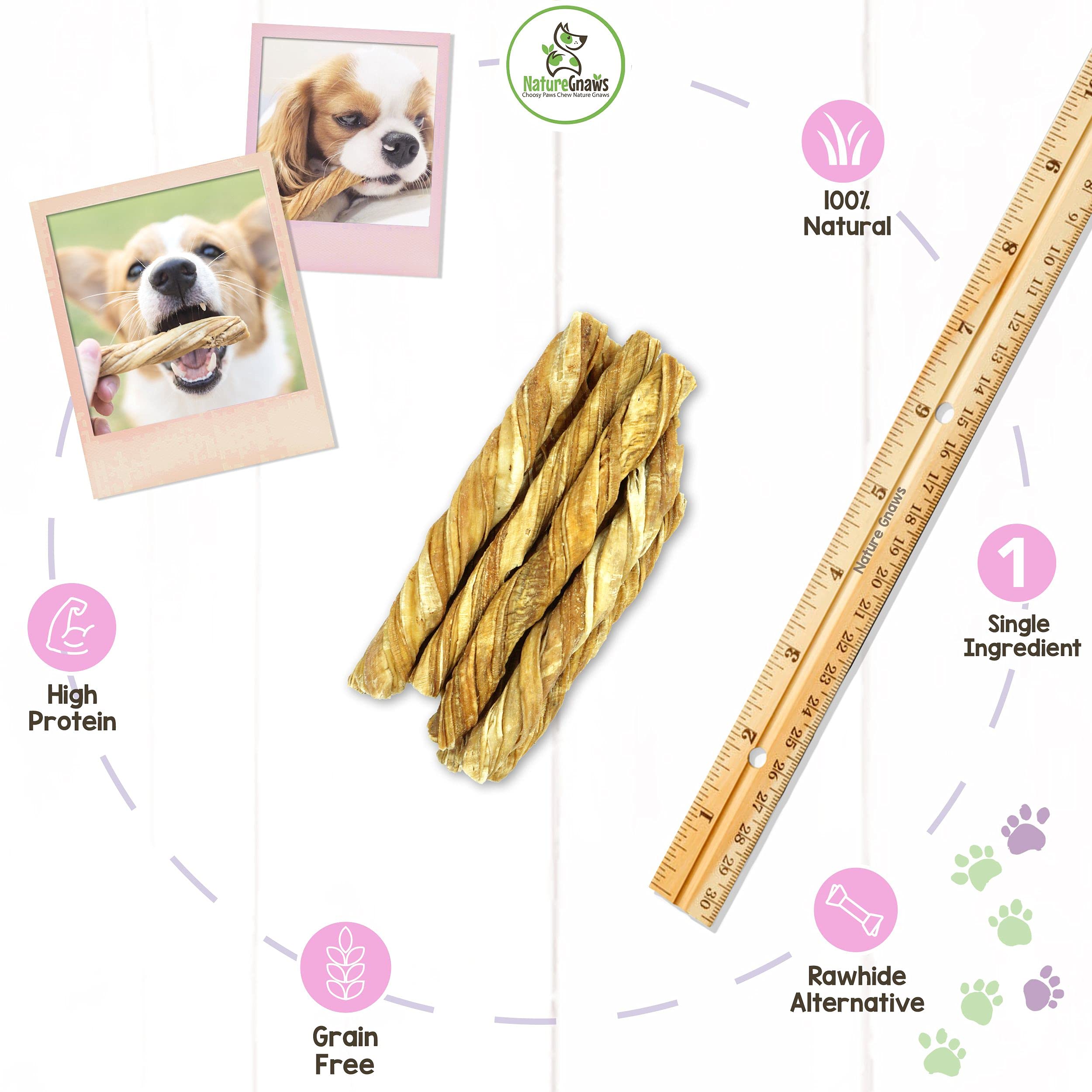 Nature Gnaws Tripe Twists for Dogs - Premium Natural Beef Sticks - Simple Single Ingredient Crunchy Dog Chew Treats - Rawhide Free - 4-5 Inch (8 oz)
