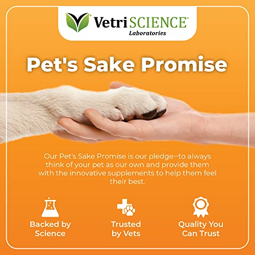 VETRISCIENCE Glycoflex 3 Clinically Proven Hip And Joint Supplement With Glucosamine For Dogs, 120 Chews - Vet Recommended Mobility Support Supplement With DMG, MSM, And Perna