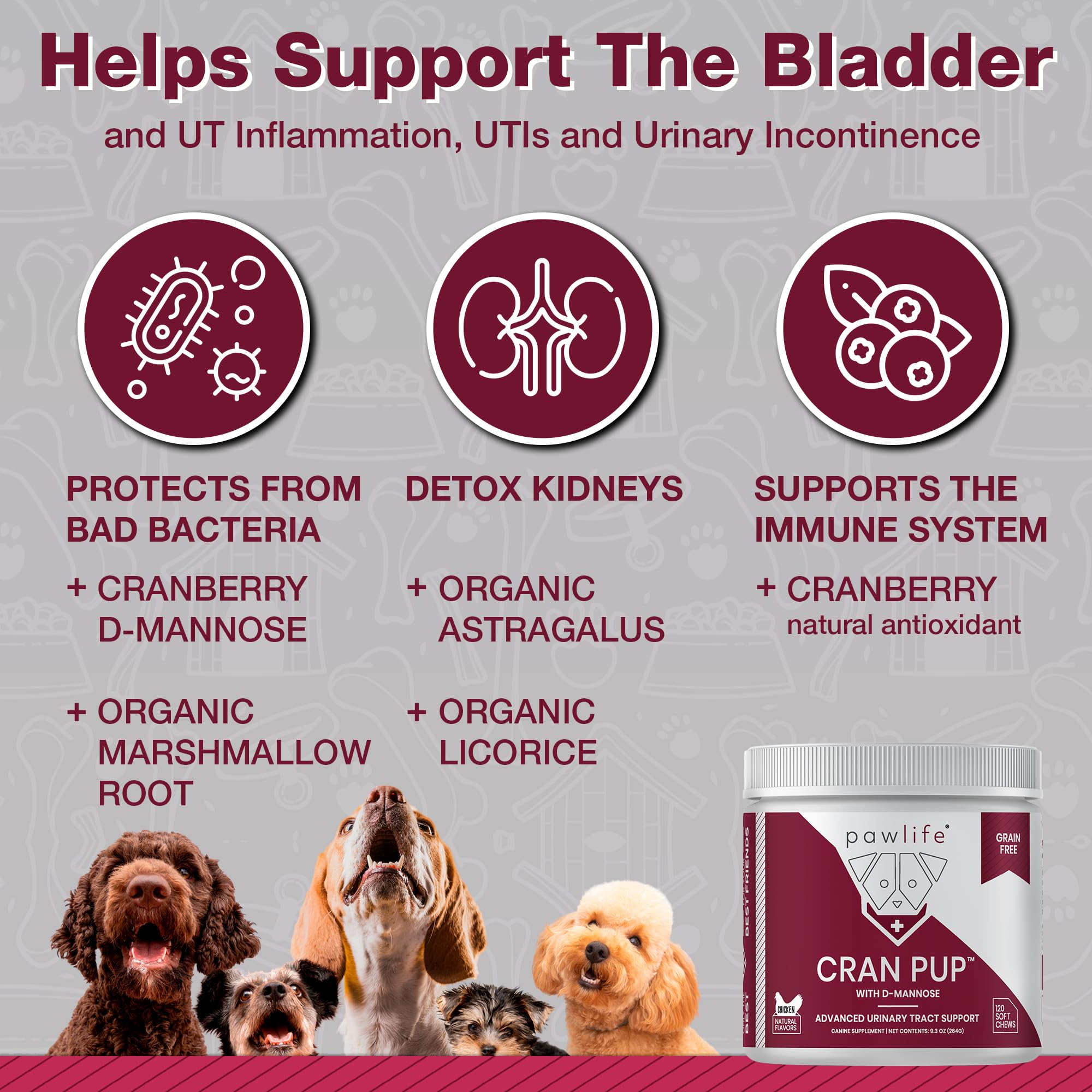 Pawlife Cranberry Supplements for Dogs| Urinary Tract & Bladder Support| D Mannose & Antioxidants for Support| 120 Veterinarian Formulated Soft Chews| Up to 4-Month Supply