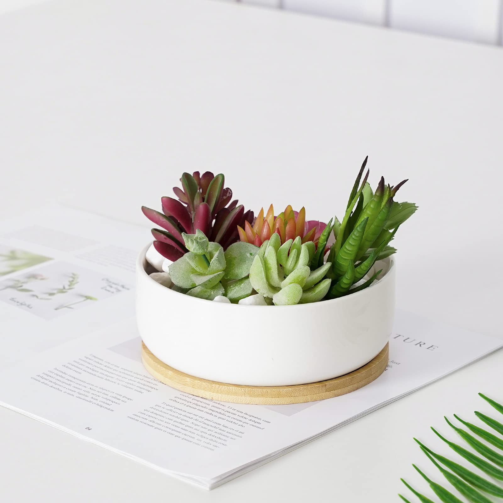 Fengson Succulent Pots, White Ceramic Flower Succulent Planters Pot with Bamboo Tray, 1 Rectangle Flower Pot + 1 Round Flower Pot 6.5" Drainage Hole for Cactus Herb Home