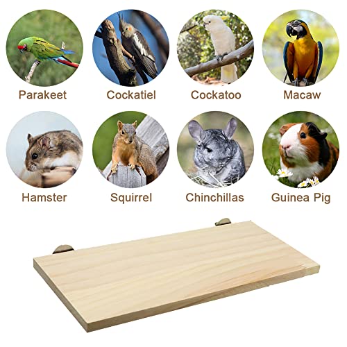 Parrot Bird Wood Perch Platform Large Stand Shelf for Birds Budgie Parakeet Cockatiel Conure Cockatoo Macaw African Grey